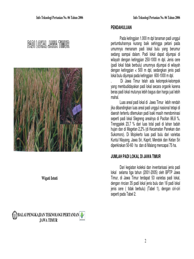 06.padi Lokal Jatim | PDF