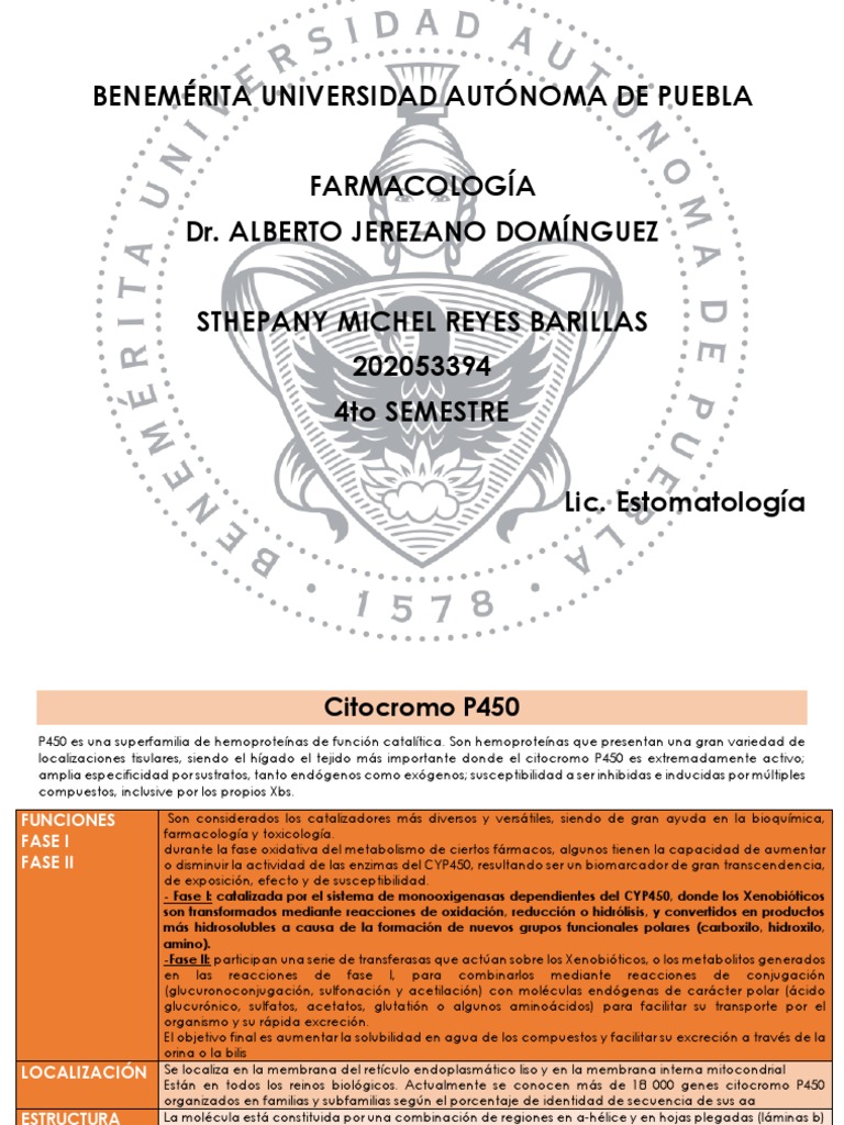 Citocromo p450 | PDF | Citocromo P450 | Enzima