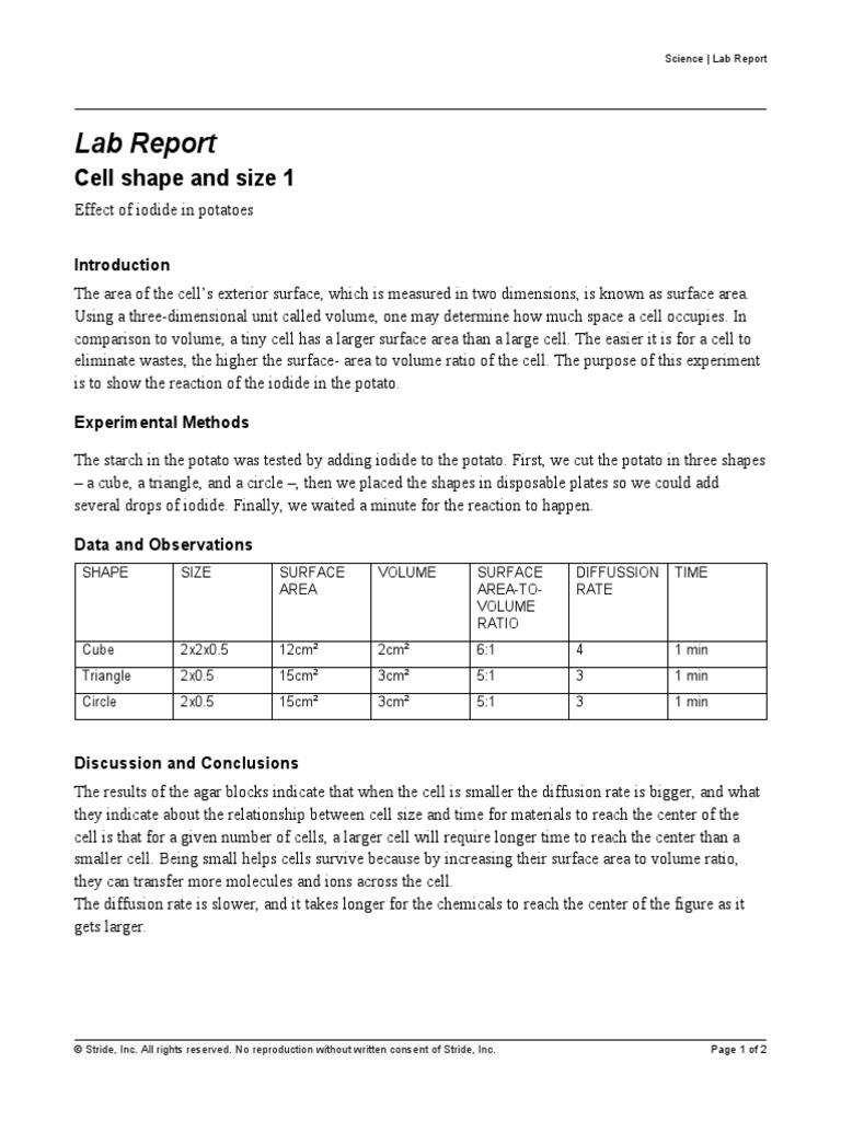 3.09 Lab - Cell Shape and Size 1 | PDF | Area | Cell (Biology)