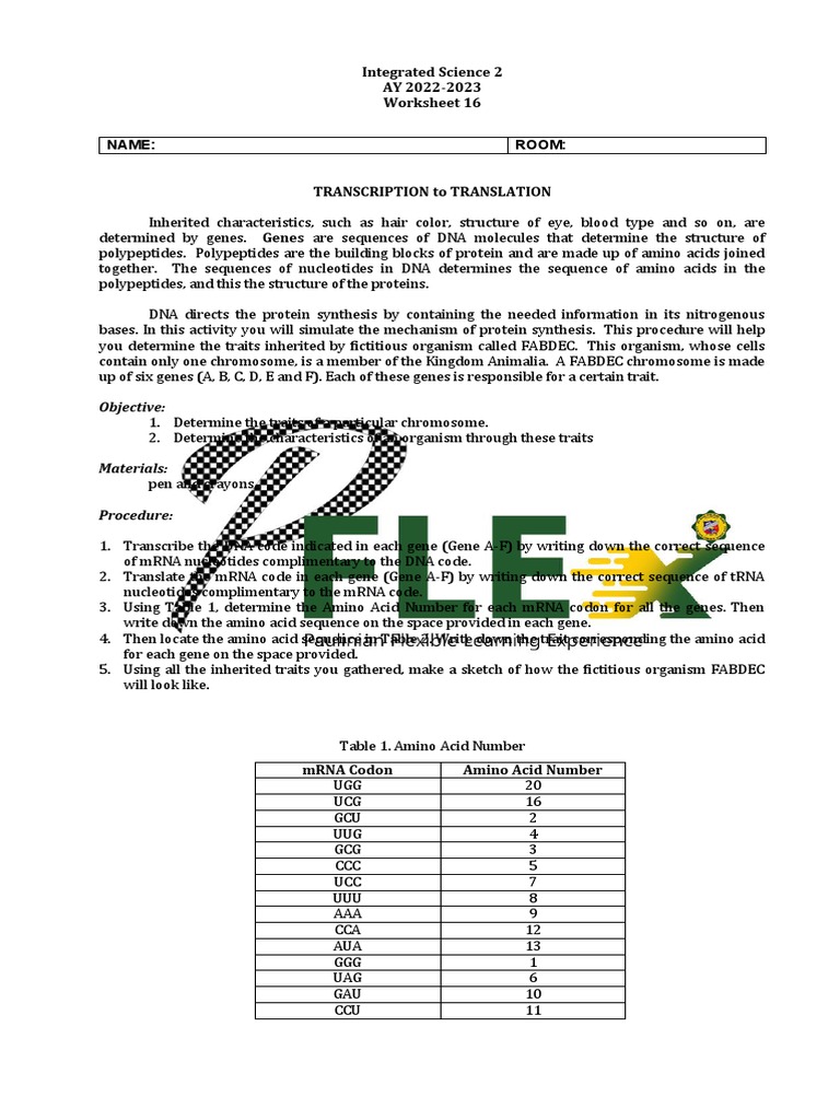 Worksheet16 Transcription To Translation | PDF | Translation (Biology ...