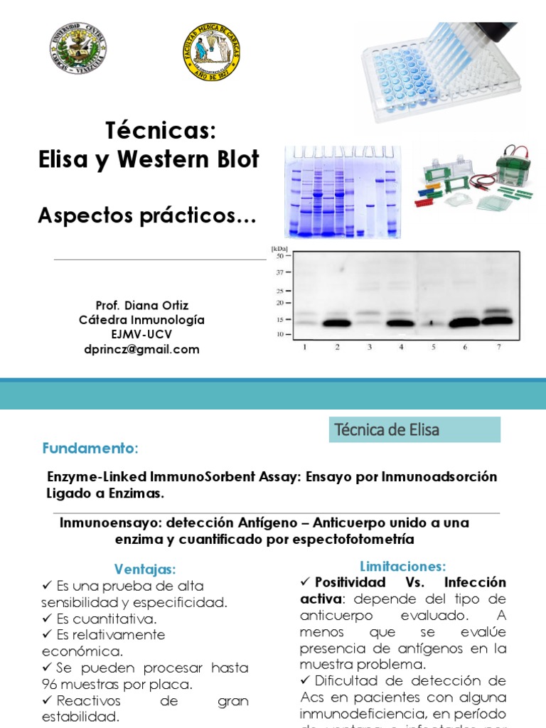 Técnicas inmunológicas Elisa y Western Blot | PDF | Elisa | Bioquímica