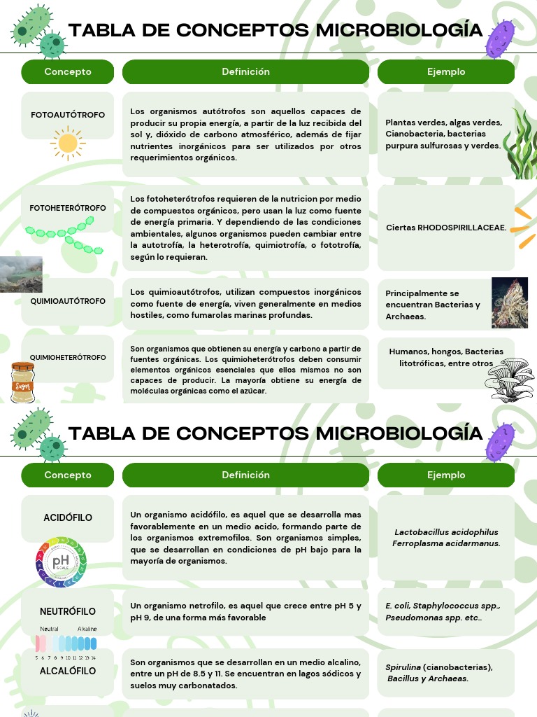 Tabla de Conceptos | PDF | Microbiología | Organismos