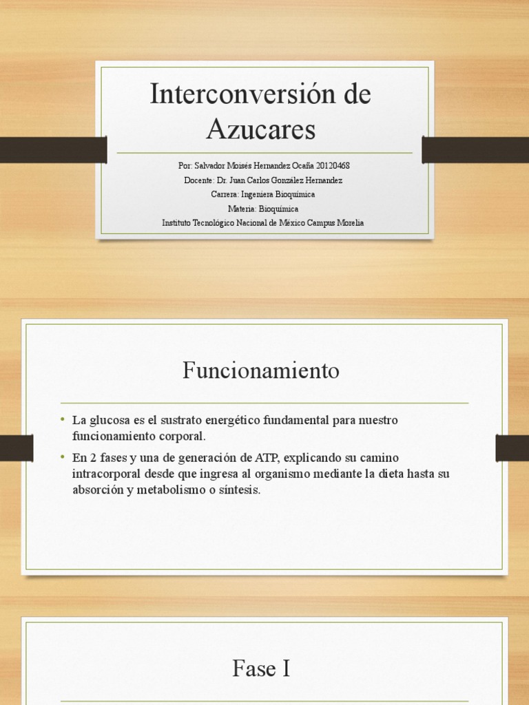 Interconversion de Azucares | PDF | Metabolismo | Glucosa