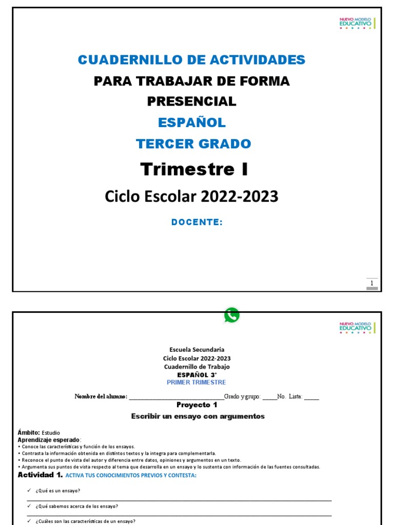 Guía de Ensayo para Tercer Grado | PDF | Ensayos | Publicidad