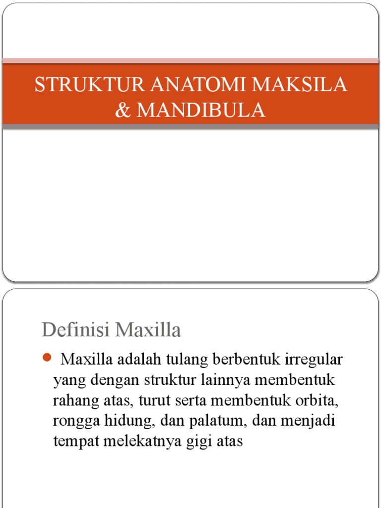 Struktur dan Fraktur Maksila Mandibula | PDF | Kesehatan Holistik