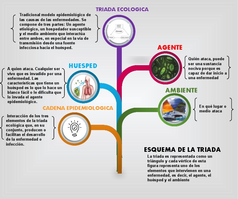 Infografia Triada Ecológica | PDF