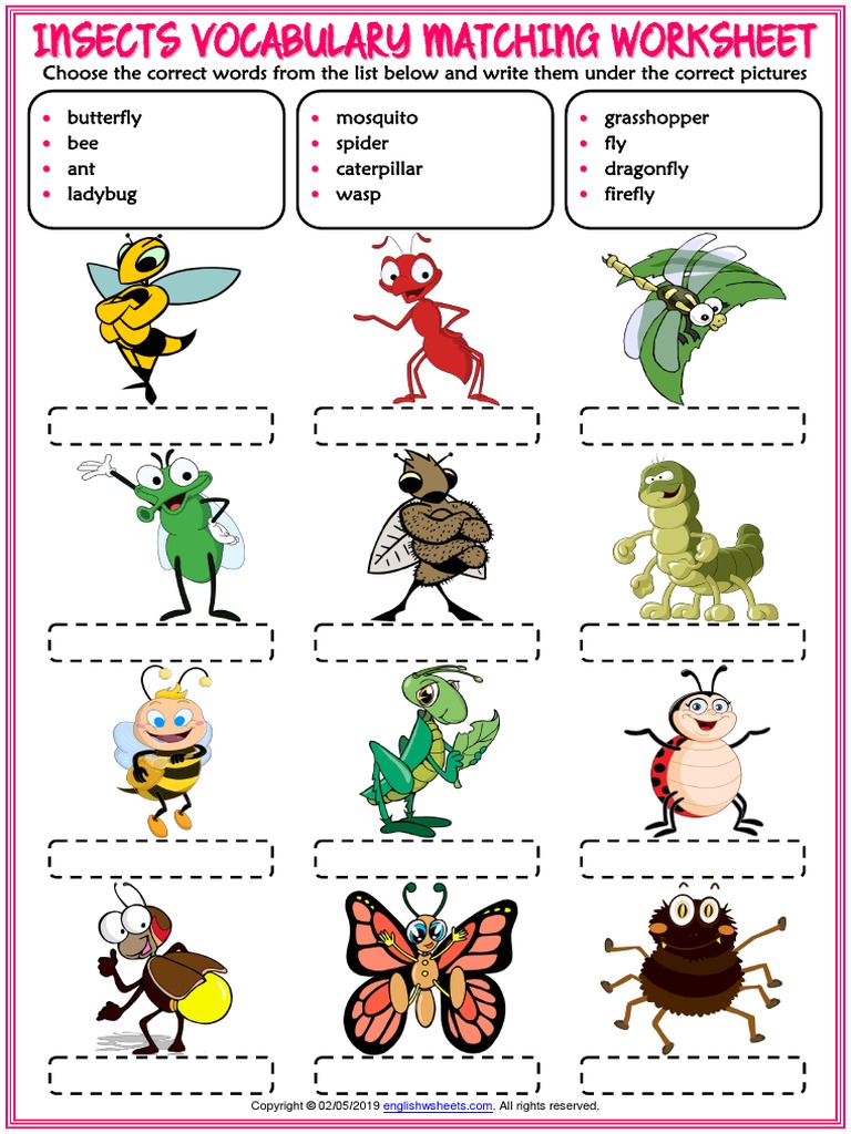 Insects Vocabulary Esl Matching Exercise Worksheet For Kids | PDF