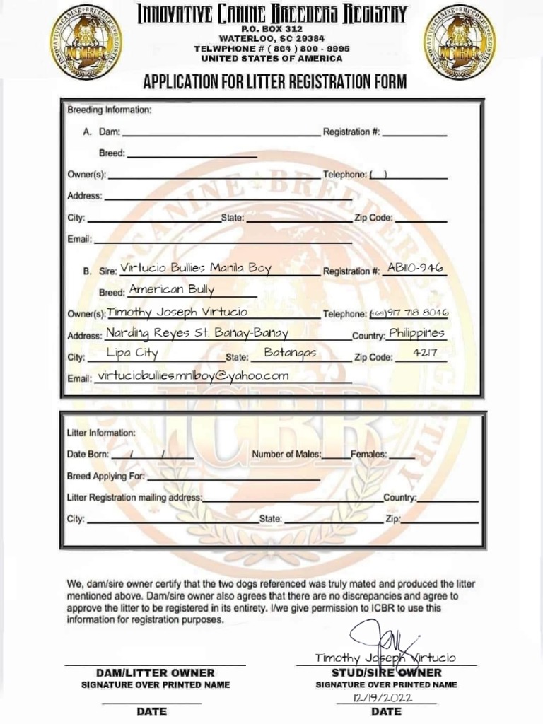 ICBR FOrm | PDF
