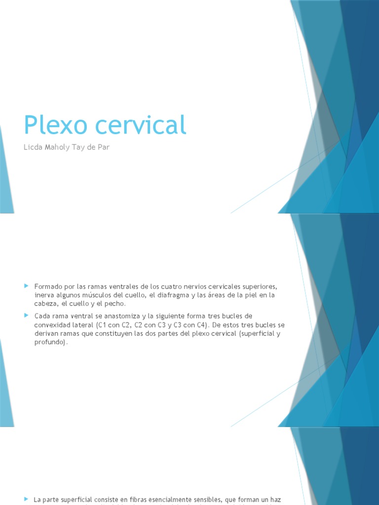Plexo Cervical | PDF | Sistema nervioso | Neuroanatomía