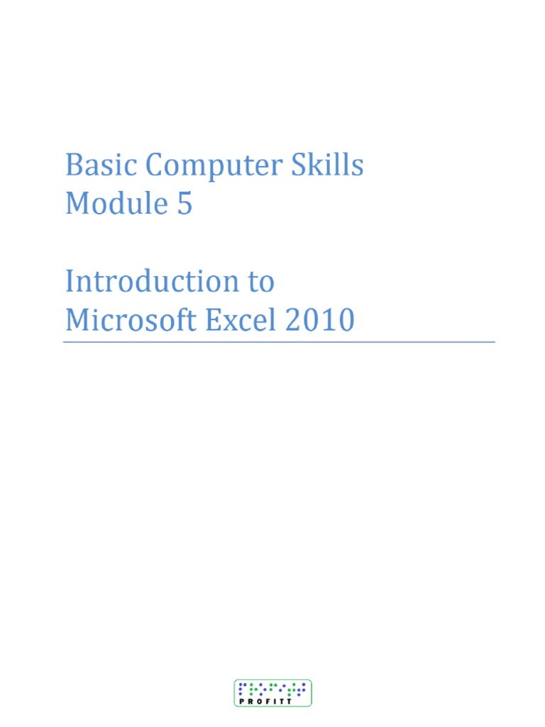 Basic Computer Skills Module 5 Introduction To Microsoft Excel 2010 | PDF
