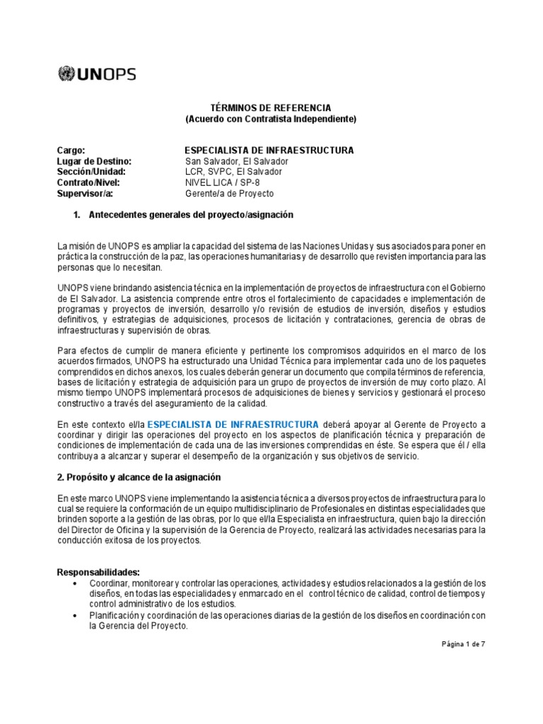 TDR Especialista en Infraestructura - 2019 | PDF | Economias