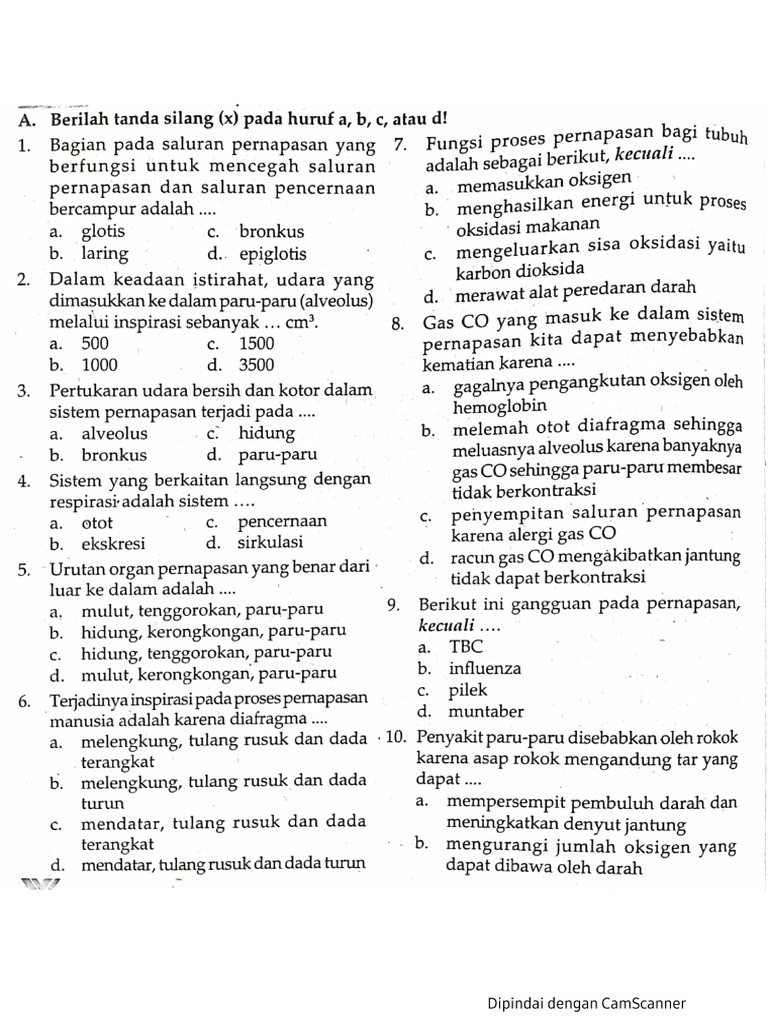 Latihan Soal IPA Pernapasan | PDF