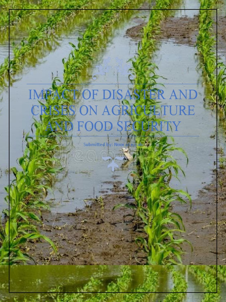 The Impact of Disaster and Crises On Agriculture 2 | PDF | Natural ...