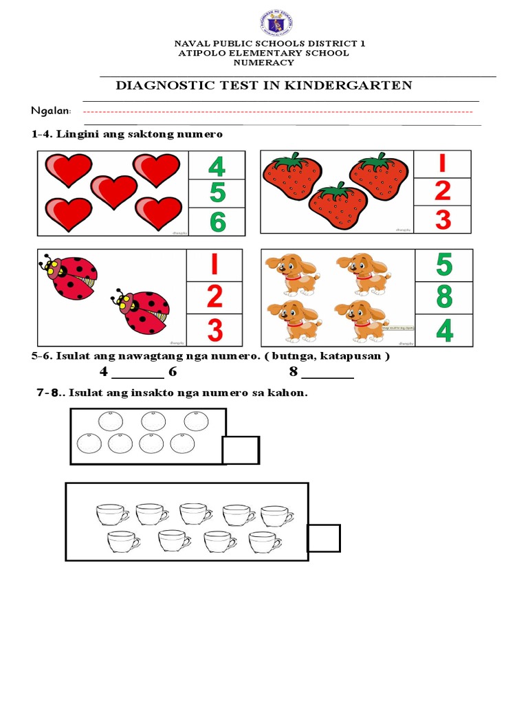 Diagnostic Test in Numeracy | PDF