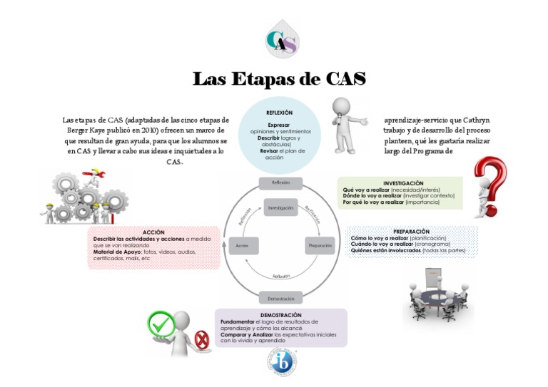 Las Etapas en CAS | PDF | Cognición | Aprendizaje
