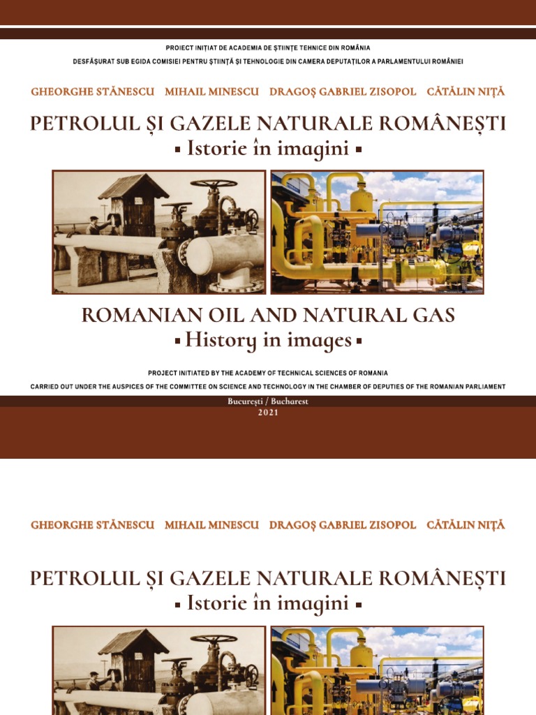 ALBUM Cu COPERTA-compressed | PDF