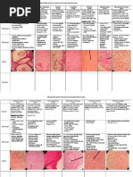 Apa Itu Sel Goblet | PDF | Kesehatan Holistik | Sains & Matematika