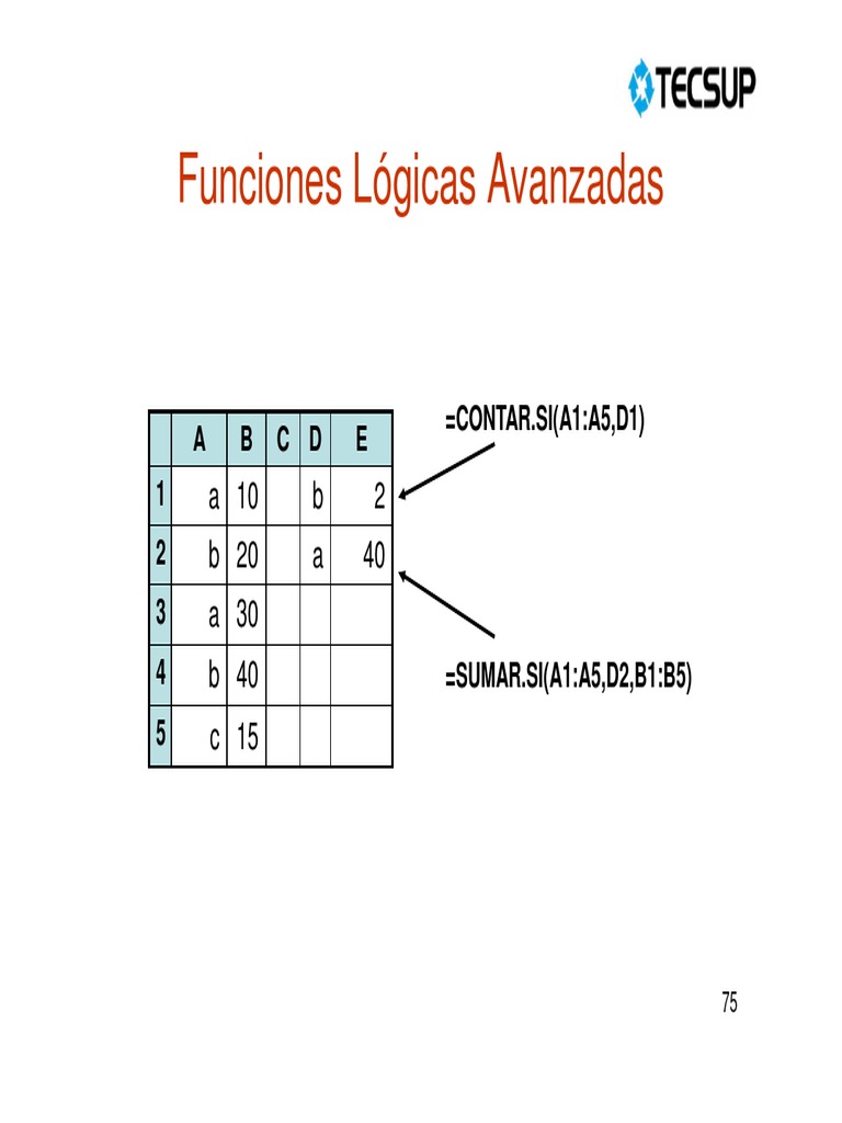 Funciones Lógicas Avanzadas | PDF