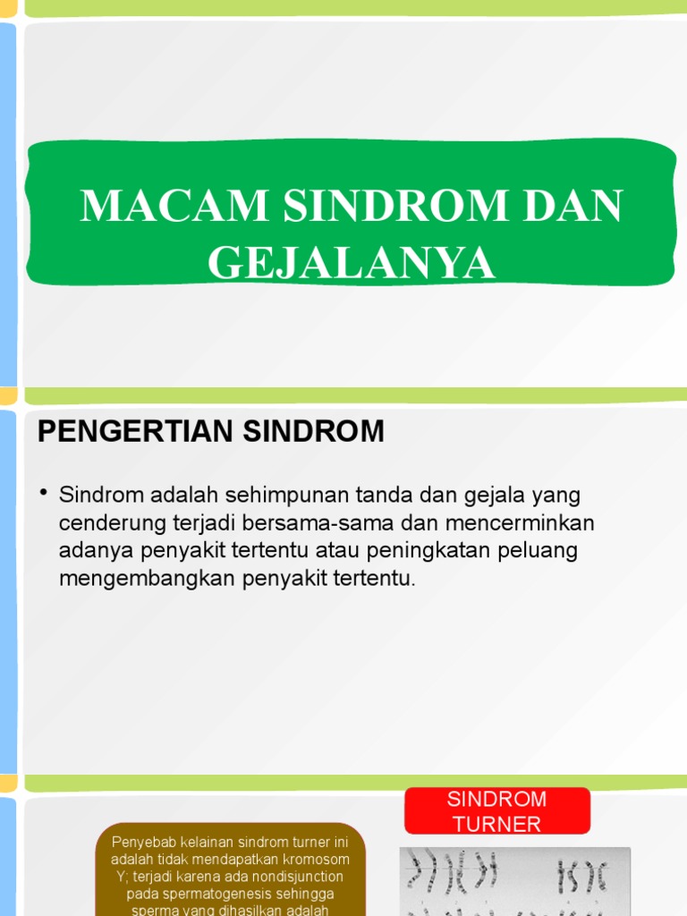 SINDROM | PDF | Gaya Hidup