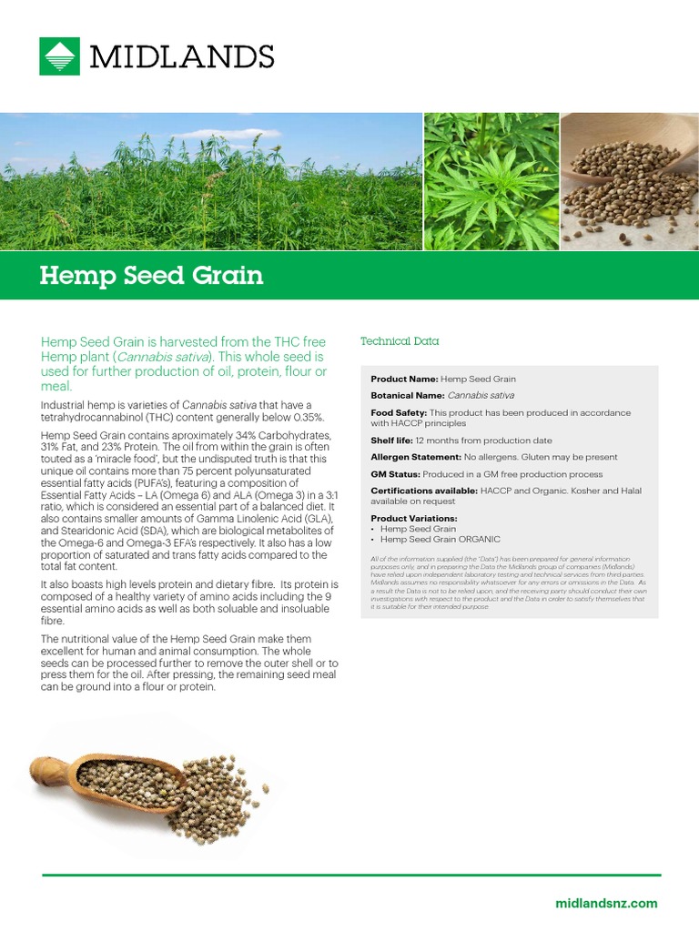 Hemp Seed Grain Portfolio | PDF | Fat | Hemp