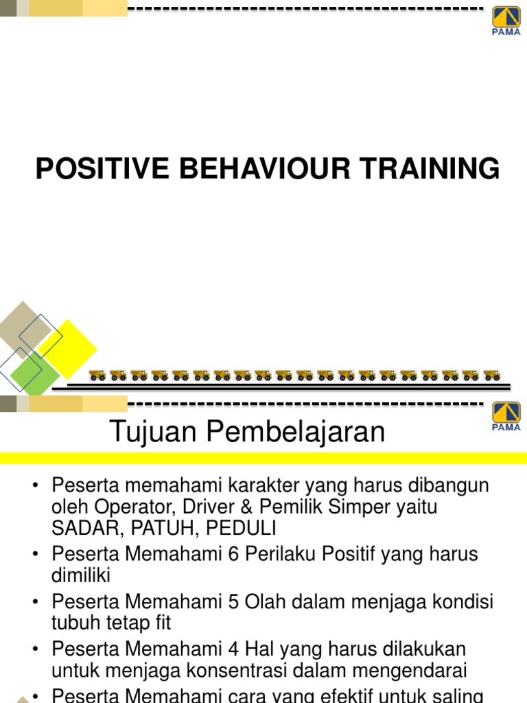 Positive Behaviour Training (PBT) - Rev2 | PDF