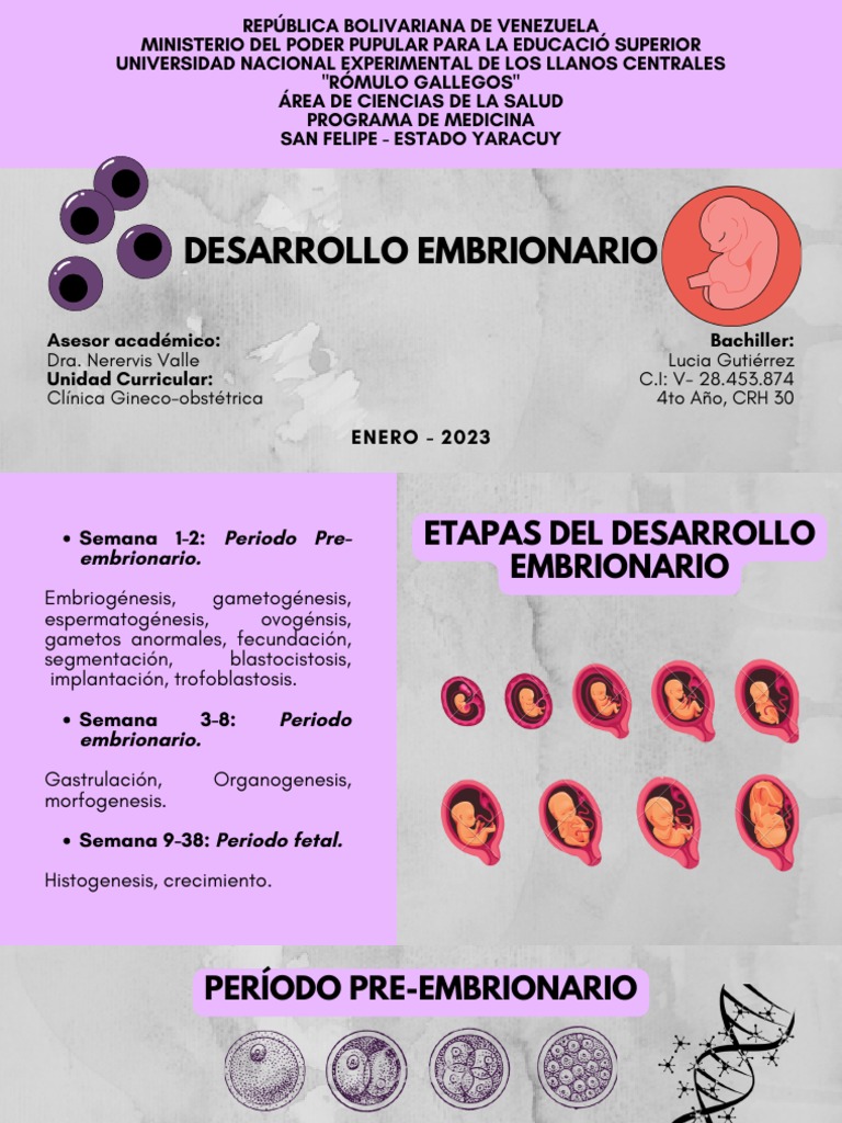 Desarrollo Embrionario | PDF | Biología | Biología Celular