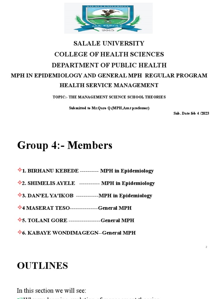 Group 4 Hsm Mst Assigment Final New1 Pdf Science Mathematical Optimization 