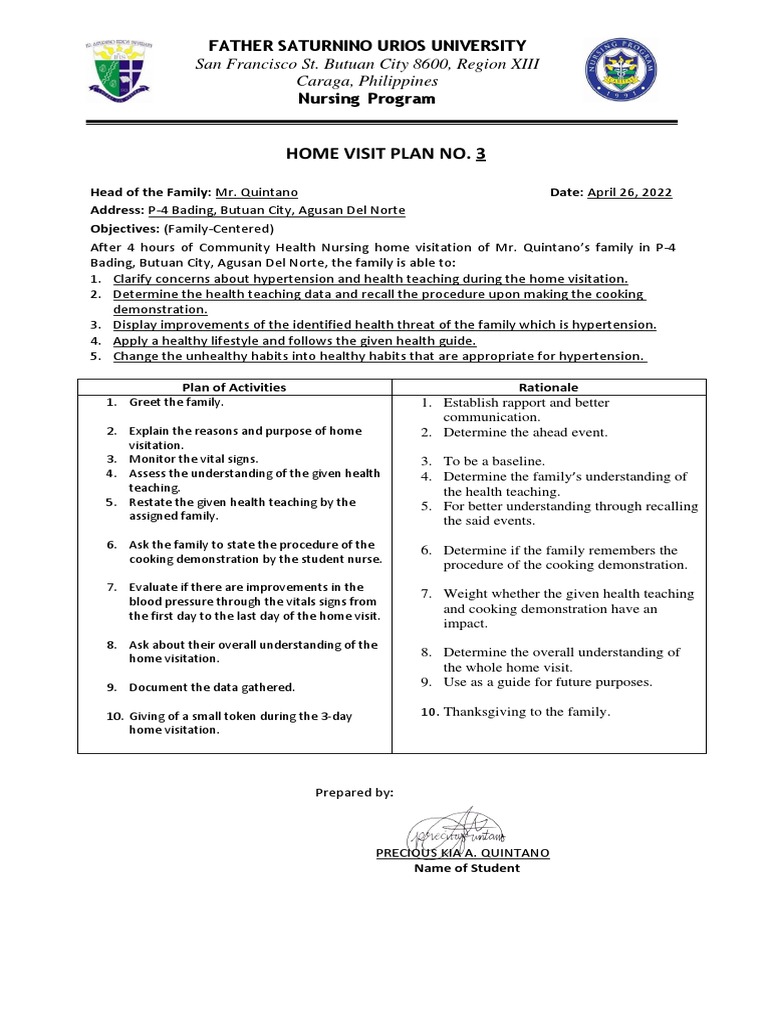 QUINTANO CHN Home Visit Plan-3 | PDF | Cognition | Health Care