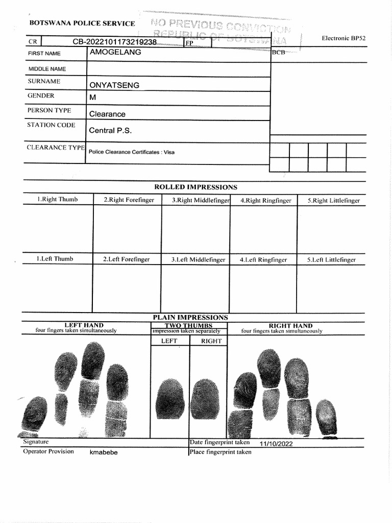 Non - Criminal Record Certificate | PDF