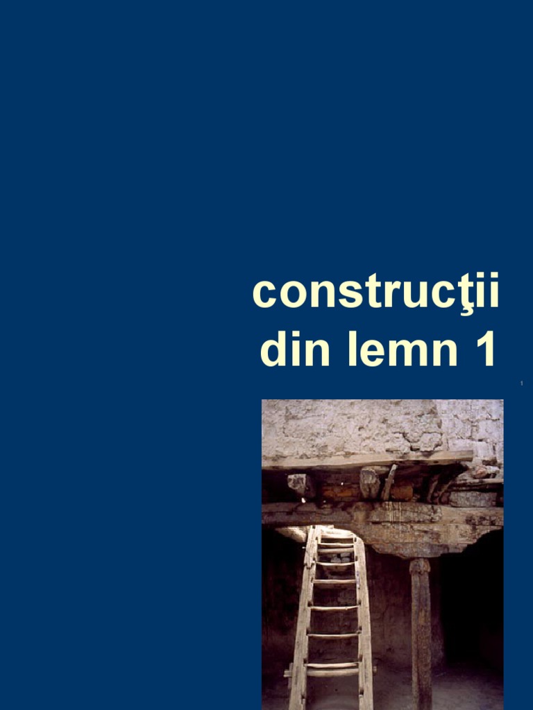 C1 Lemn | PDF
