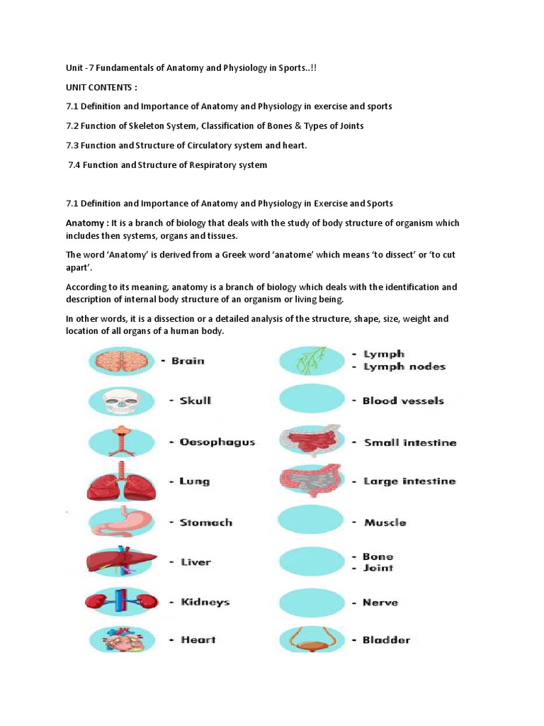 Grade 11 Chapter 7 Physical Education | PDF | Skeleton | Bone