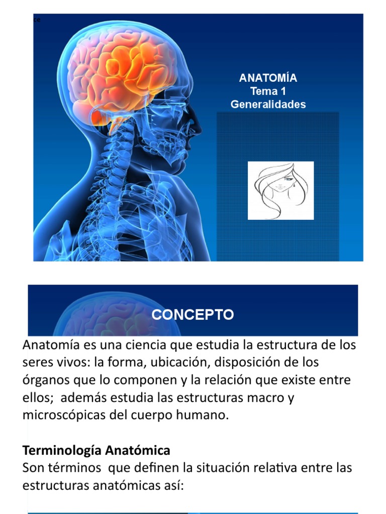 Anatomia Generalidades F | PDF | Términos anatómicos de ubicación | Abdomen