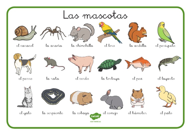 Es t t 909 Las Mascotas Tapiz de Vocabulario | PDF