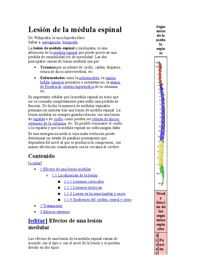 Sindromes de Lesion Medular | Lesión de la médula espinal | Medicina ...