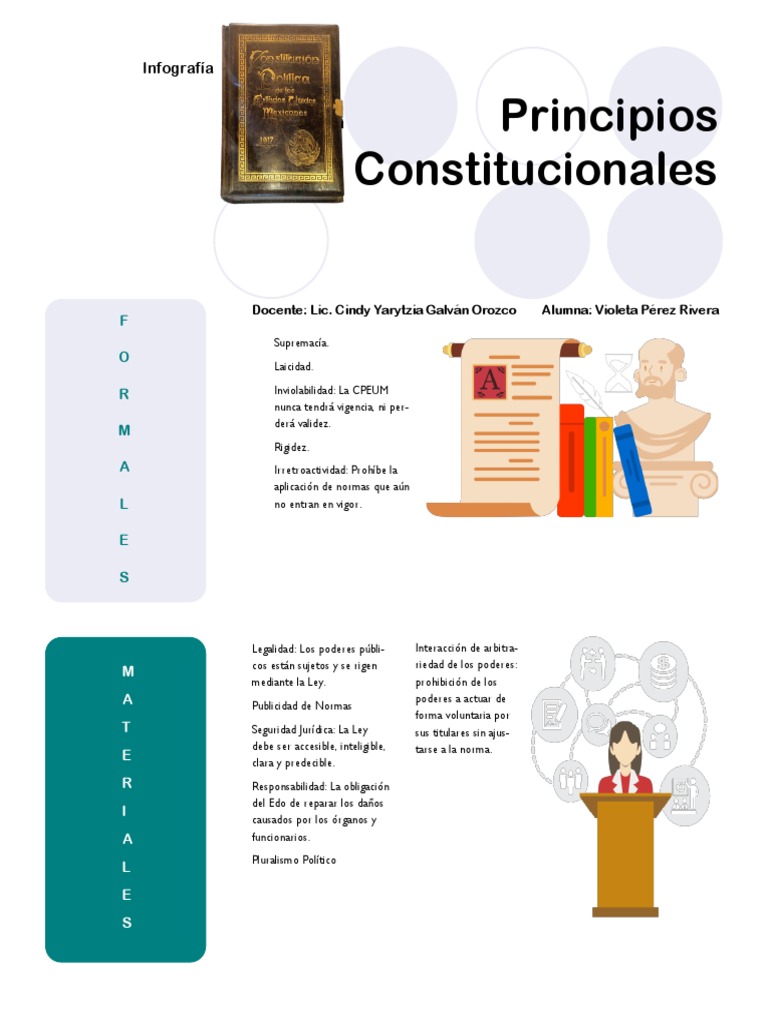 Principios Constitucionales | PDF