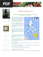 Indigenous Groups in Bicol BSIT-2A | PDF | Ethnicity