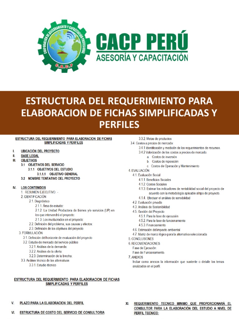 Terminos de Referencia Tema 1 y Tema 2 | PDF