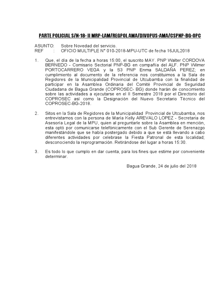 Parte Policial N | PDF