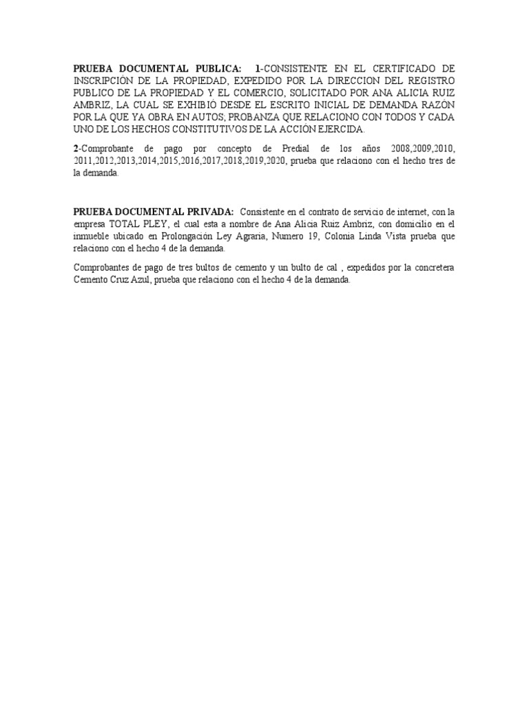 PRUEBA DOCUMENTAL PUBLICA Ofrecimiento | PDF