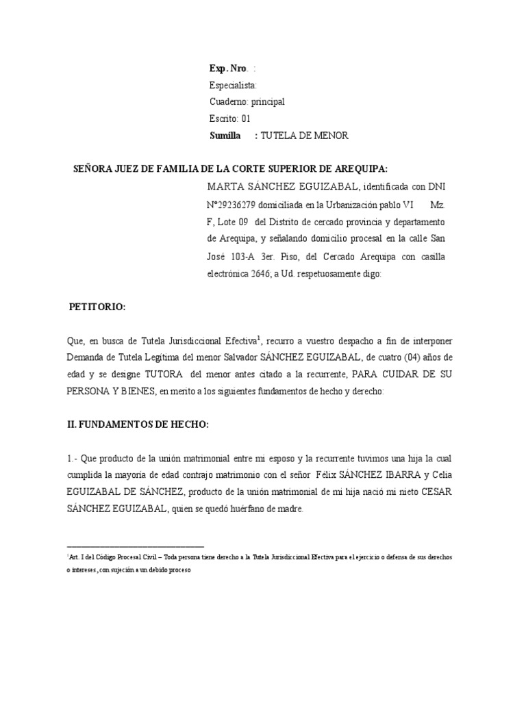 Solicitud de Tutela de Menor en Arequipa | PDF | Demanda judicial | Instituciones sociales
