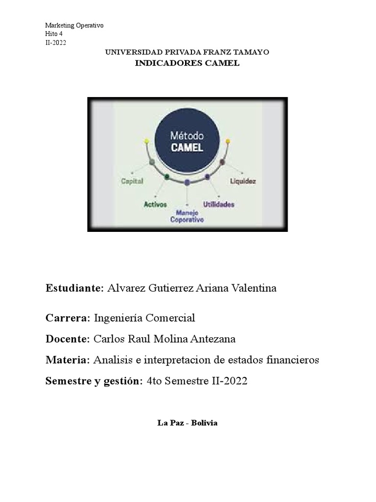 Indicadores Camel | PDF | Marketing | Bancos
