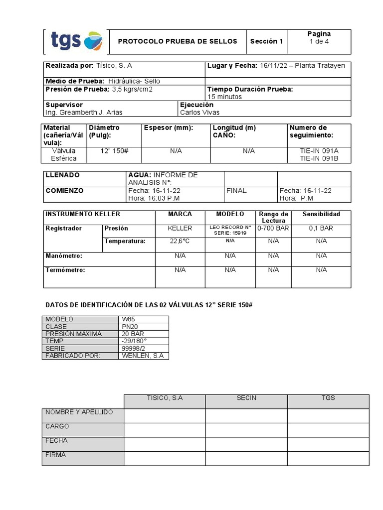 Protocolo Prueba Hidráulica - Prueba de Sellos VALVULAS DE 12 | PDF | Mecánica de Medios ...