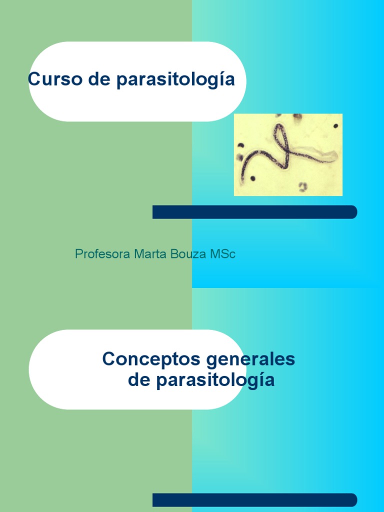 Amebas, Generalidades Protoz. III 2016 | PDF