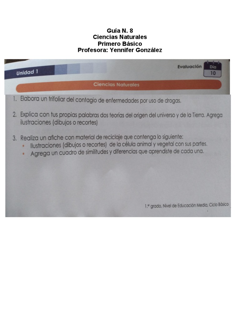 Guía 8 Ciencias Naturales Primero Básico | PDF