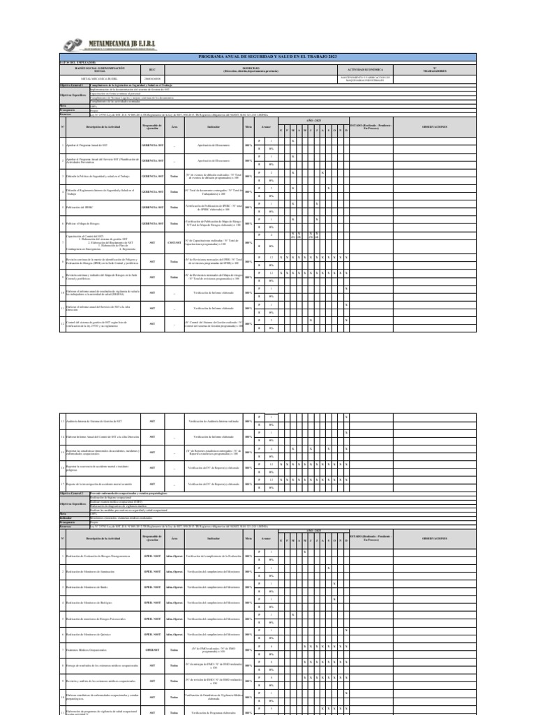Programa Anual de SST | PDF | Seguridad y salud ocupacional | La seguridad