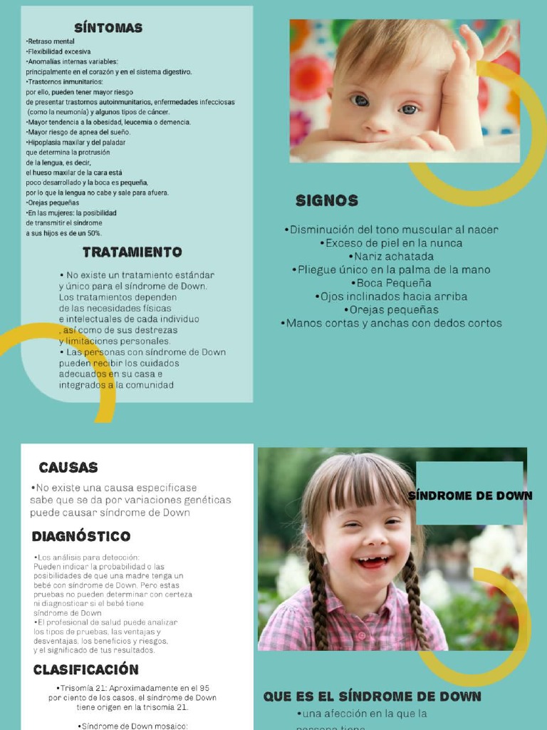 Brochure Síndrome de Down | PDF