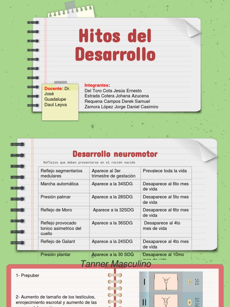 Hitos Del Desarrollo | PDF