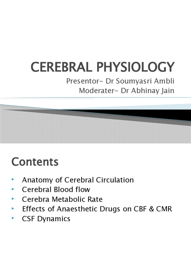 Cerebral Physiology | PDF | Cerebral Cortex | Brain