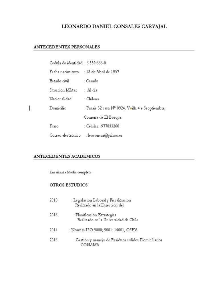 Perfil Profesional de Leonardo Consales | PDF