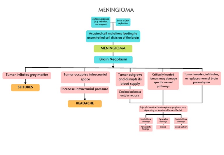 MENINGIOMA | PDF